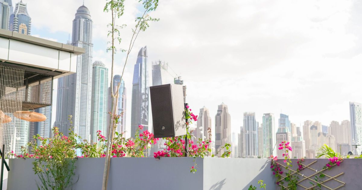 Bar Du Port Dubai: Seductive Waterfront Dining & Cocktails