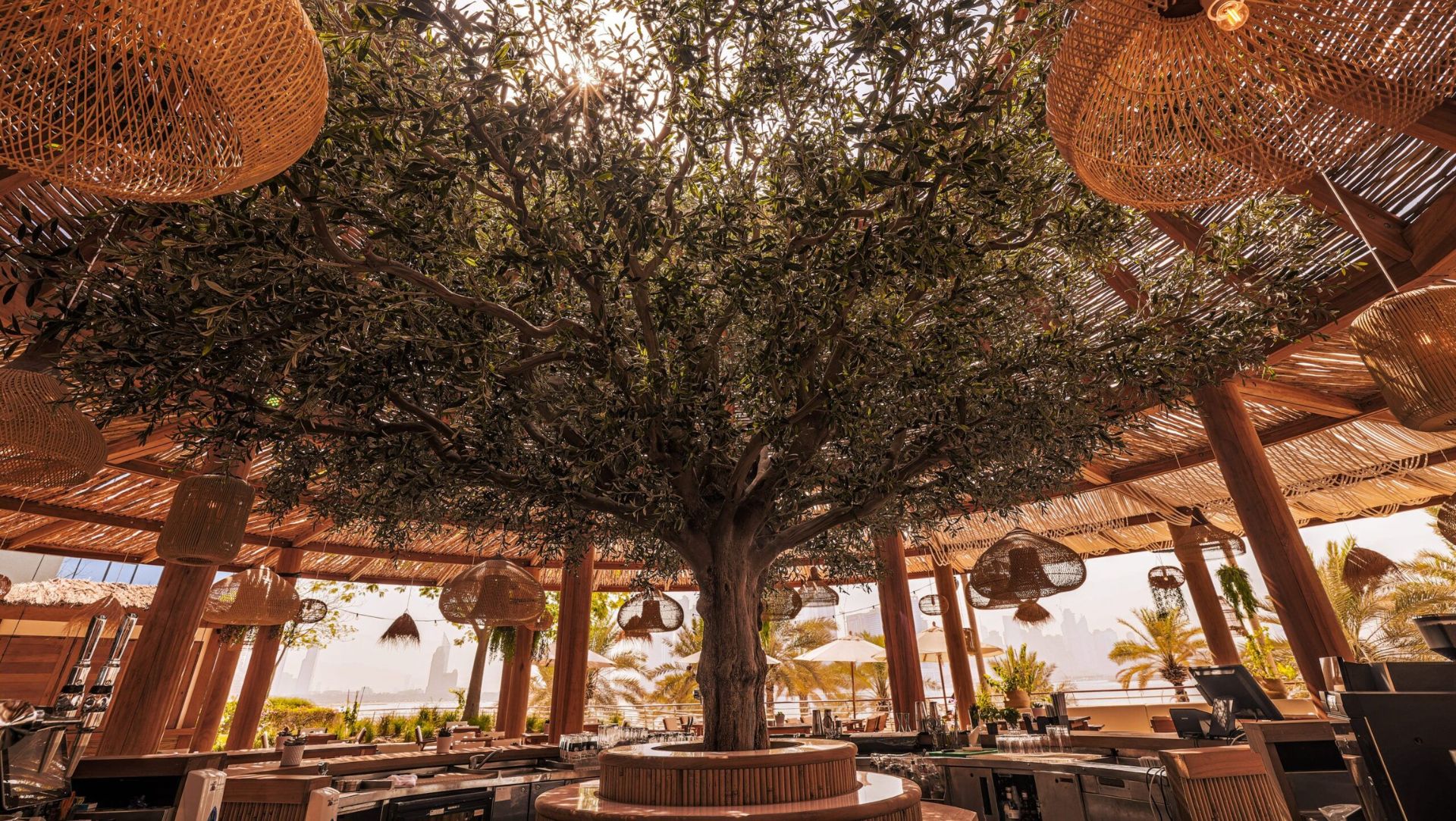 Ula Dubai: Beachfront Restaurant on Palm Jumeirah